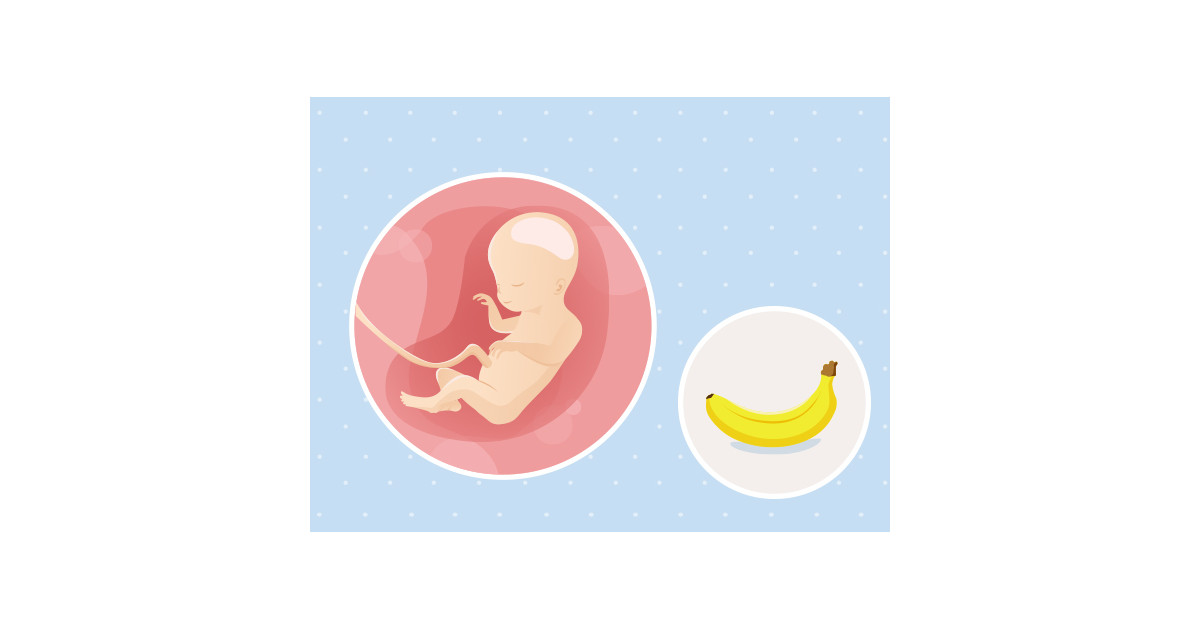 20 semaines de grossesse (22 SA) : Tout savoir | GUIGOZ